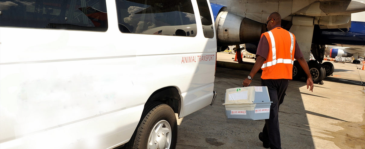 Megafreight Logistics – We Got You Covered!